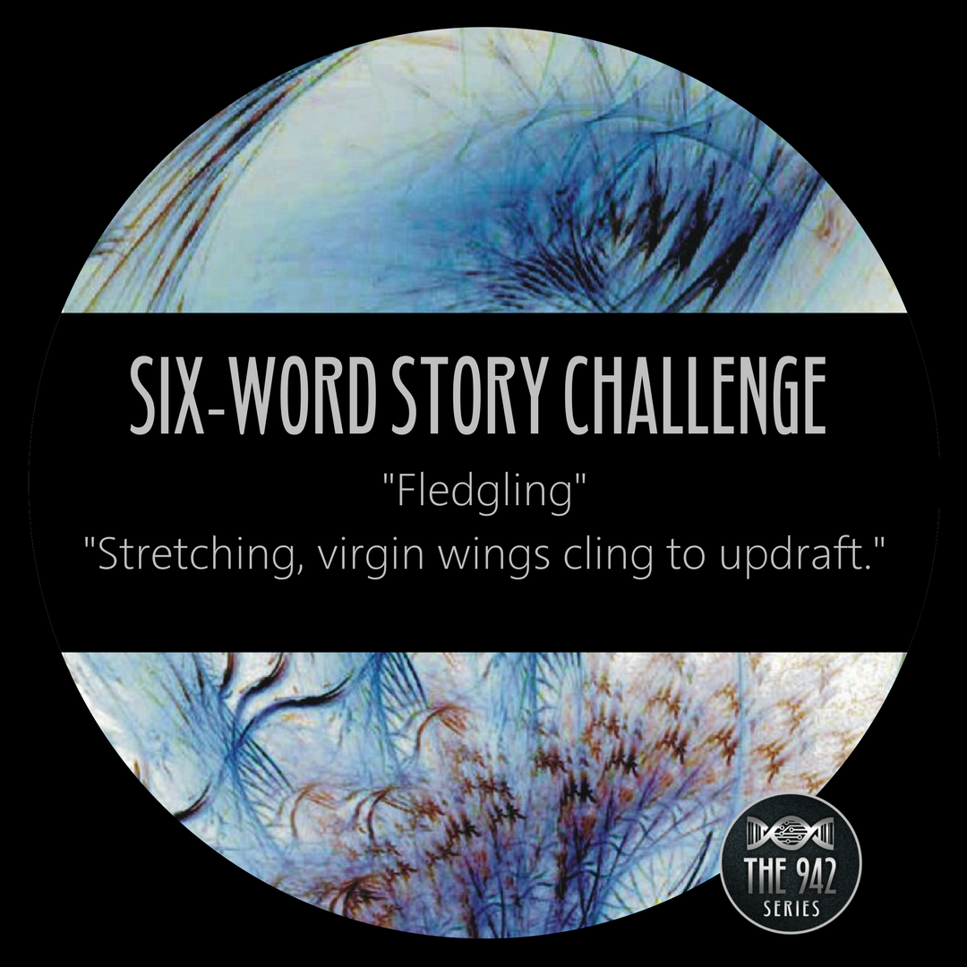 Six-Word Story Challenge – “Fledgling” – J. I. Rogers – Author