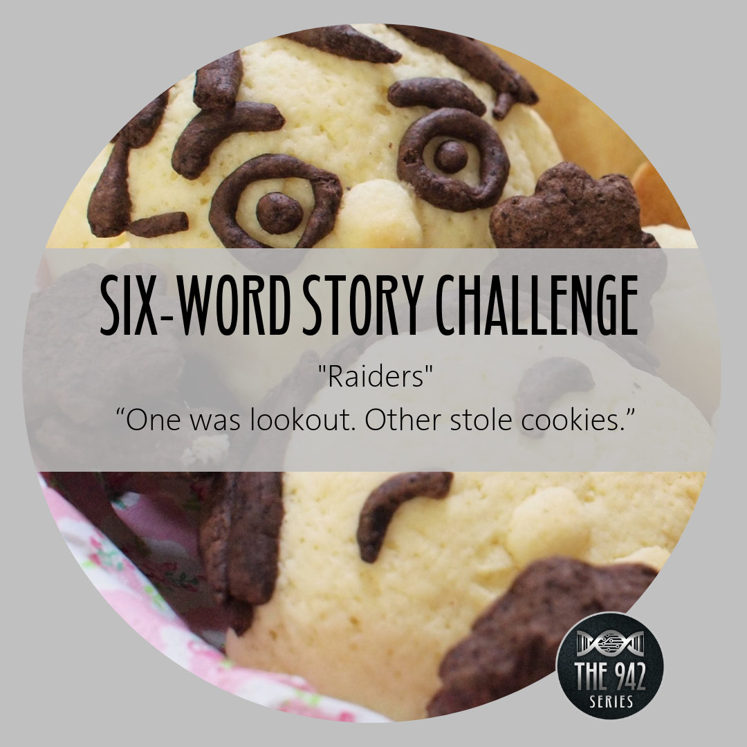 Six-Word Story Challenge – “Raiders” – J. I. Rogers – Author