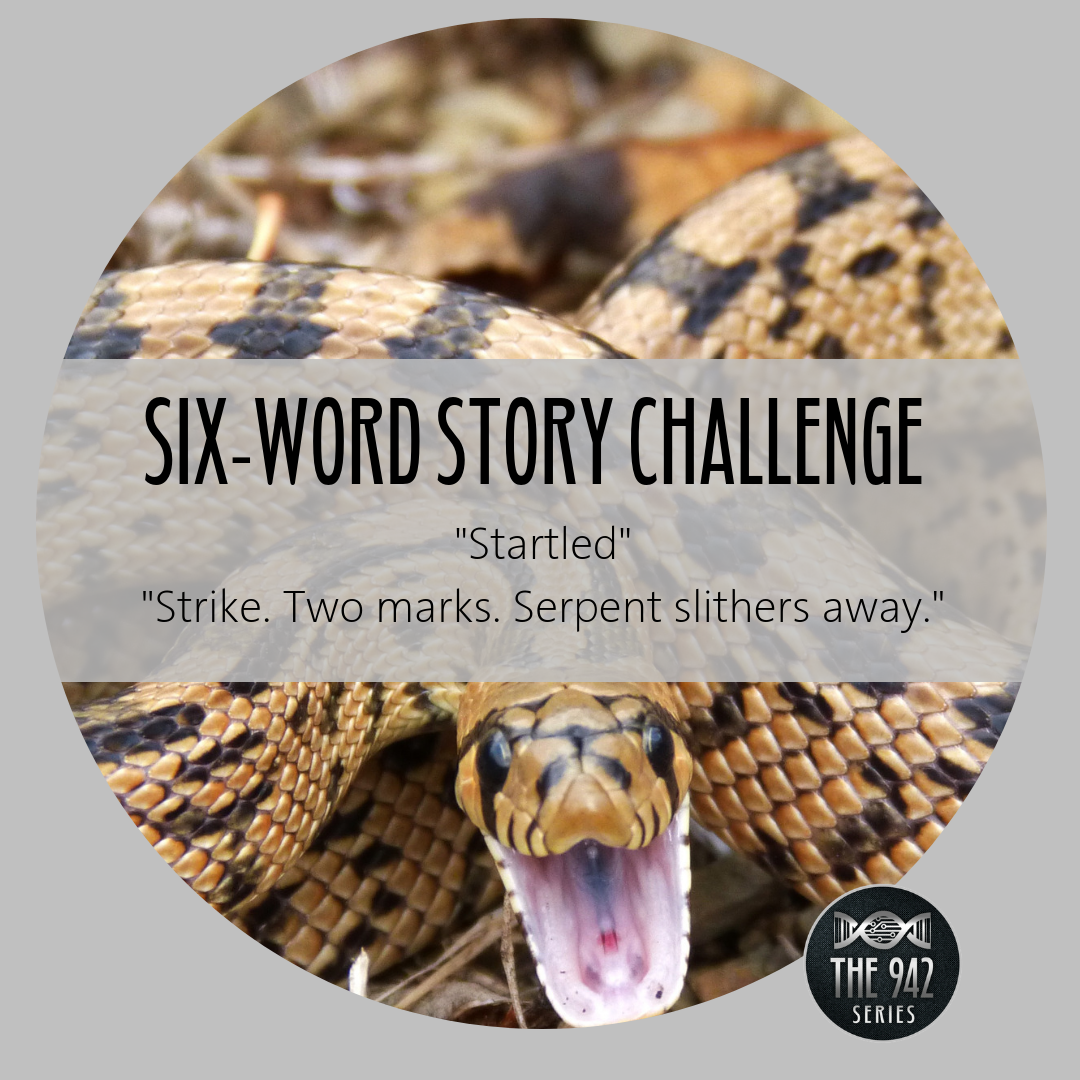 Six-Word Story Challenge – “Startled” – J. I. Rogers – Author